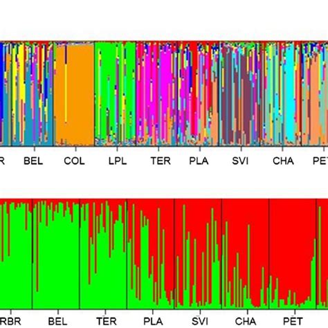 multilocus cluster bayesian analysis of microsatellite genotypes