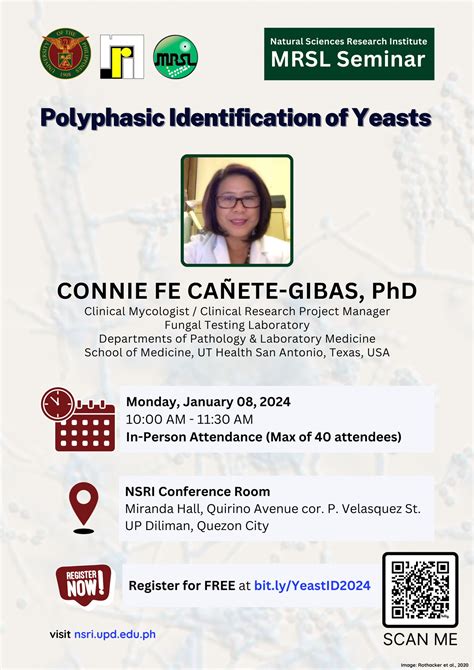 Polyphasic Identification Of Yeasts University Of The Philippines Diliman