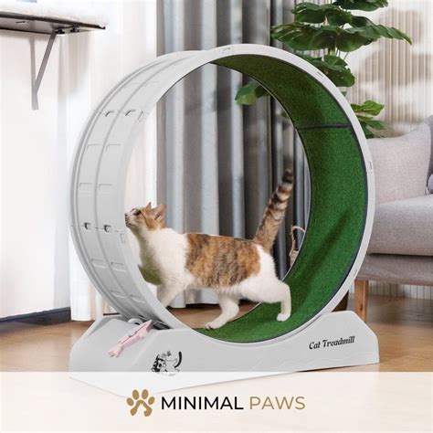 Cat Artificial Grass Treadmill Roller Pet Supplies Homes And Other Pet