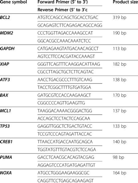Primer Sequences For Target Genes Download Table