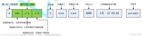 Linux 文件 目录权限 Toy模板网