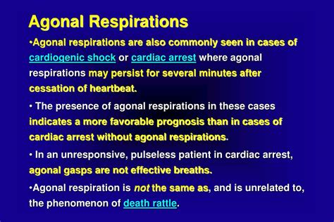 Ppt Patterns Of Respiration By Ahmad Younes Professor Of Thoracic