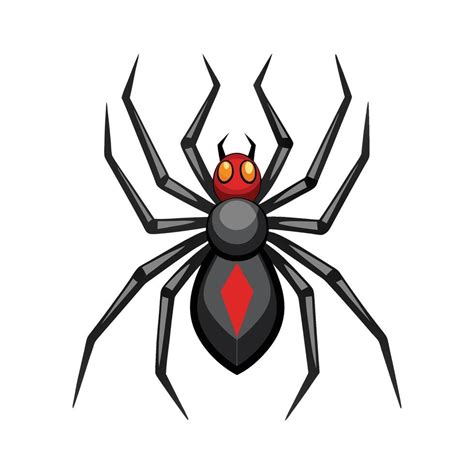 Showcase Of House Spiders On White Background 59079414 Vector Art At