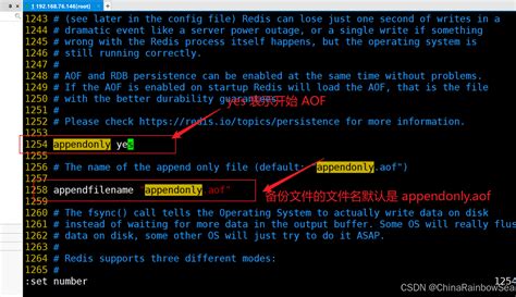 九 Redis 持久化 AOF 详细讲解说明一个配置一个说明分析步步讲解到位 知乎