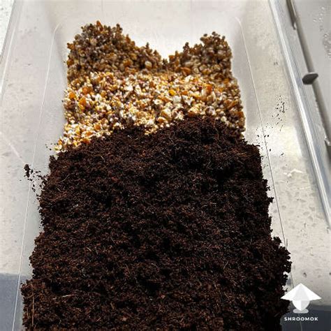 Substrate Gallery On Shroomok