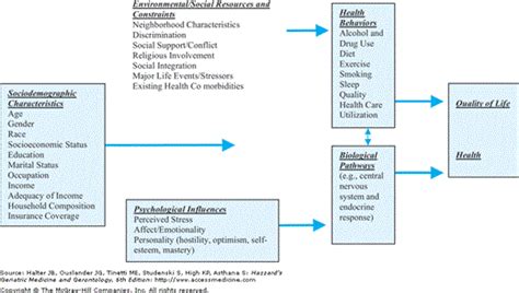 Psychosocial Aspects Of Aging Oncohema Key