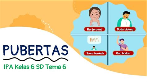 Soal Ipa Kelas 6 Materi Pubertas Inti Sekolah