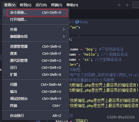 vs code控制终端乱码解决方案 php csdn博客