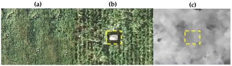Agronomy Free Full Text Estimating Biomass Of Black Oat Using Uav Based Rgb Imaging