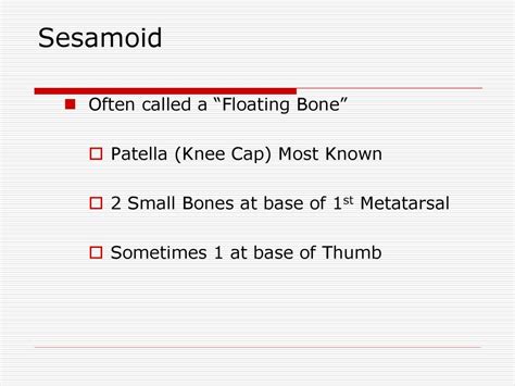 unit 2 basics of human anatomy and physiology ppt download