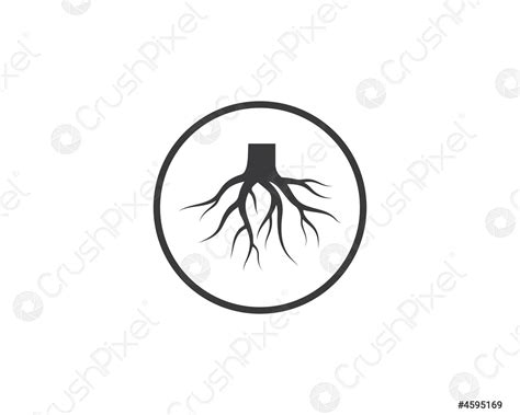 Tree Roots Vector Icon Illustration Design Stock Vector Crushpixel
