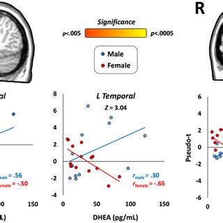DHEAbysex Interactions In The Gamma Band Fisher S R To Z Maps Showed Download Scientific