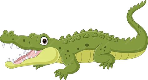 Cocodrilo De Dibujos Animados Aislado Sobre Fondo Blanco Vector Premium
