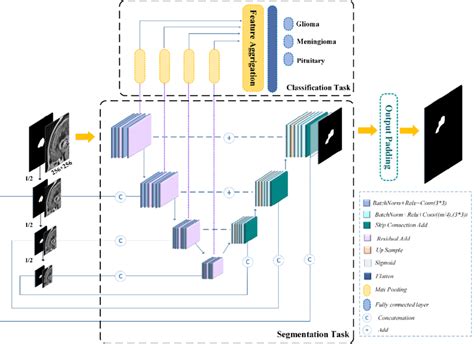 The Proposed Multiscale Cascaded Multi Task Network Structure For Brain