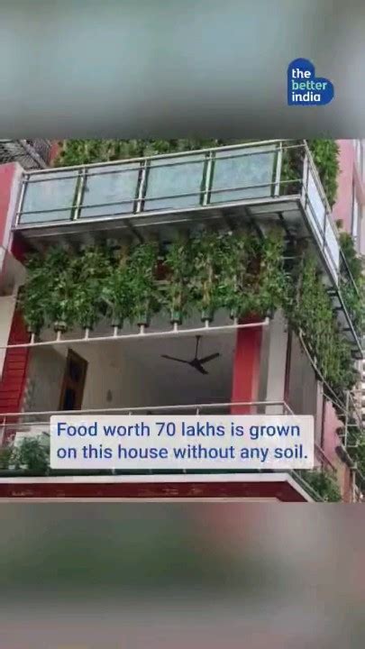 Shashank Shekhar Singh On Linkedin Sustainability Hydroponics