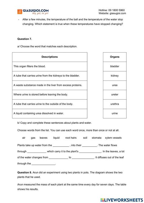 Igcse Year 8 Science Worksheets