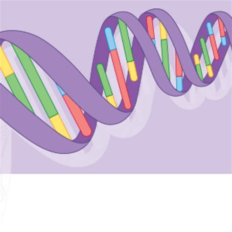 Predict The Genetic Disorders Dataset Of Genomes Kaggle