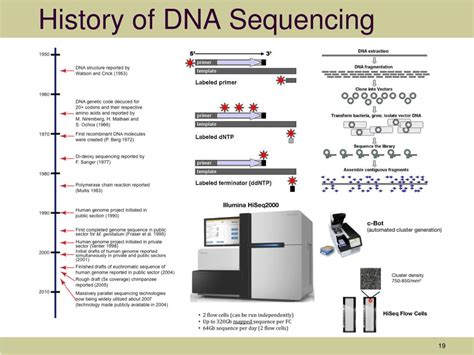 Ppt Analysis Of Next Generation Sequencing Ngs Data Powerpoint Presentation Id3404802