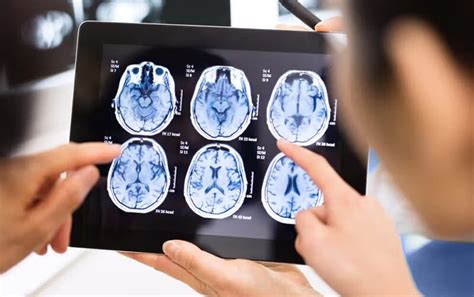 Whats The Difference Between Eeg Meg And Fmri Kiwi Box