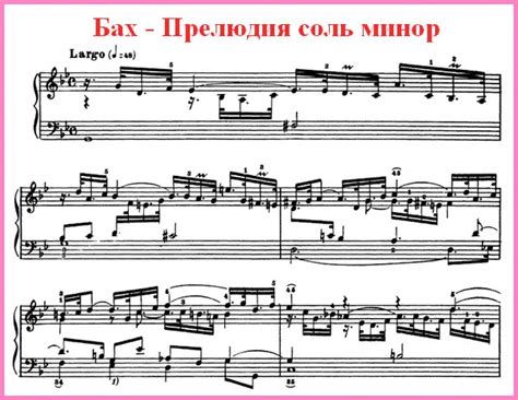 Types Of Rhythm In Music Digital Babe