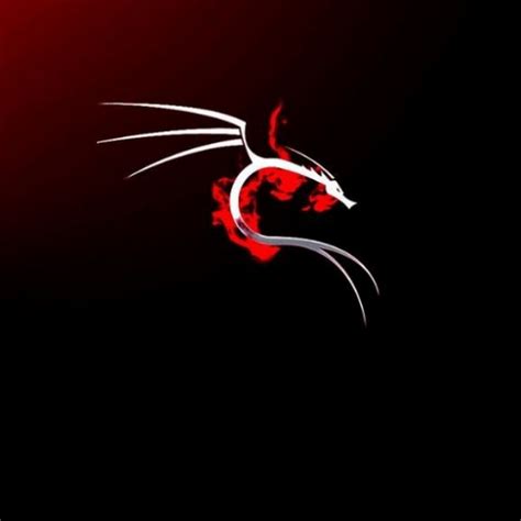 شروحات Kali Linux Youtube