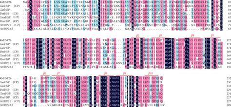 sequence conserved domain multiple sequence alignment and