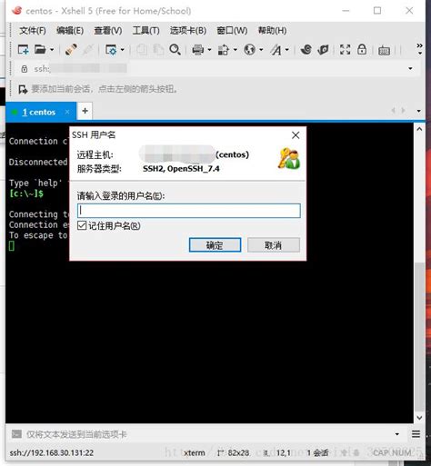 Xshell连接centos 7（解决ip地址不显示问题） 灰信网（软件开发博客聚合）