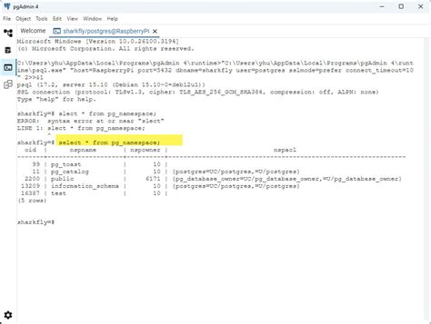 Pgadmin 4 启动 Psql Toolpgadmin4中查询pg参数 Csdn博客