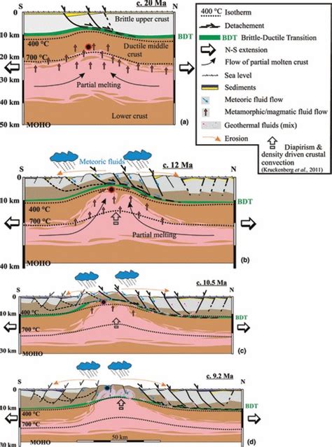 Conceptual Model For Fluid Circulations During Exhumation Of