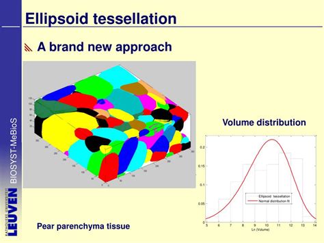 ppt ellipsoid tessellation algorithm for modelling fruit microstructure powerpoint