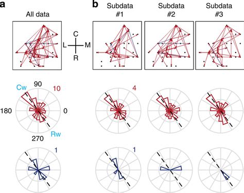 Consistency In Spatial Patterning Of Network Connectivity Across Download Scientific Diagram