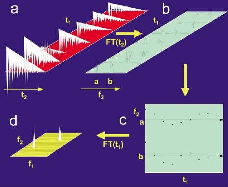 Diagram Illustrating The Sequence Used To Produce A D NMR Spectrum Download Scientific