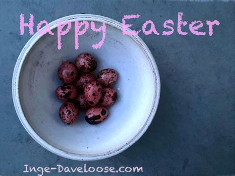 Inge Daveloose Posted On Linkedin