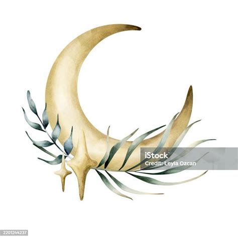 야자수 잎과 스프래클이 있는 초승달 수채화 손으로 그린 일러스트레이션 라마단 디자인을 위한 고립된 배열 0명에 대한 스톡 벡터 아트 및 기타 이미지 Istock