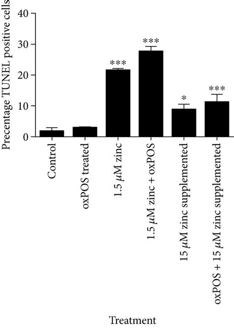 In Situ Cell Death Staining To Detect Rpe Cell Apoptosis In Oxpos Download Scientific Diagram