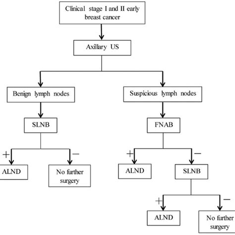 Scans Of The Left Axillary Lymph Node From A 46 Year Old Female Patient