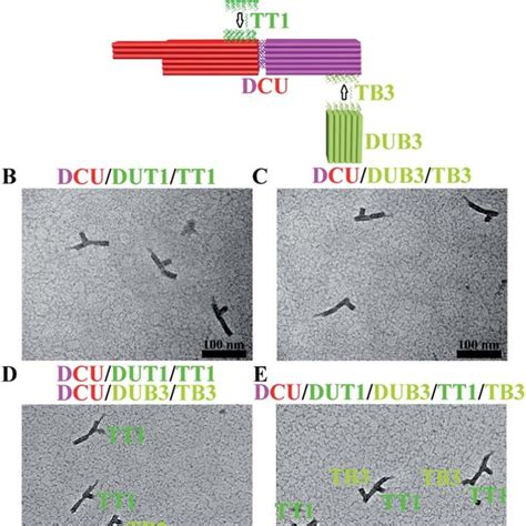 Expansion Of Positional Encoding Capacity Through An Increase In