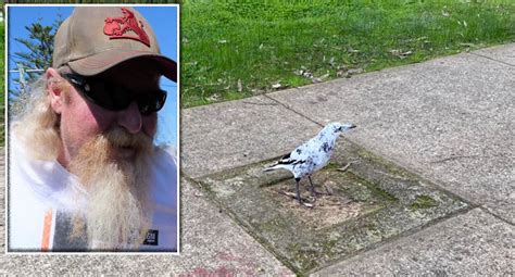 Rare White Magpie Sighting Thrills Aussie Man Made My Week