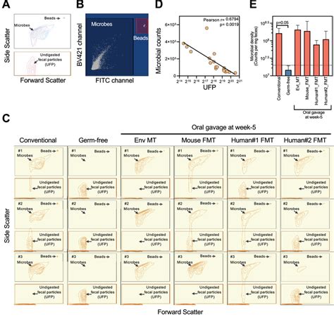 Quantitative Flow Cytometry Analysis Of Fecal Microbial Dynamics A Download Scientific