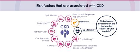 Ckd Identification Diagnosis And Management Aafp