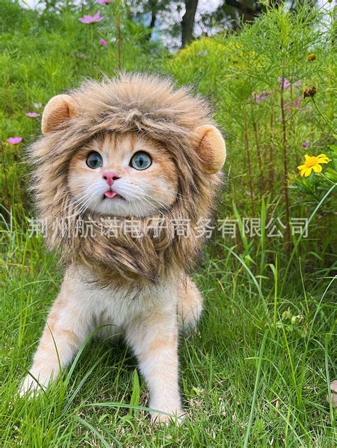 跨境厂家 头饰假发帽子 宠物狗狗猫咪头套 小狗猫猫服饰狮子头套 阿里巴巴