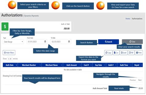View Your Transactions Dynamics Payments