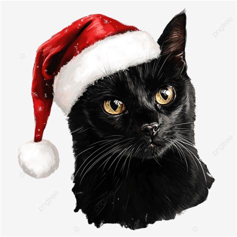 산타클로스 모자를 쓴 검은 고양이와 함께하는 아늑한 순간 검은 고양이 산타 클로스 모자 커피 Png 일러스트 및 이미지 에 대한 무료 다운로드 Pngtree