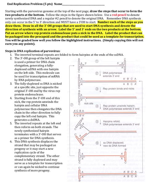 end replication problem 5 pts name starting with