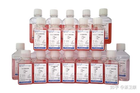 细胞培养需要哪些条件？ 知乎