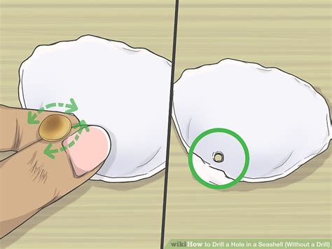 How To Drill A Hole In A Seashell Without A Drill Steps