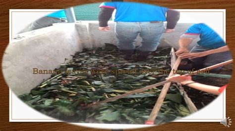 composting pptx