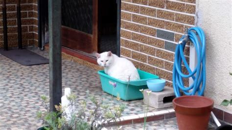 ミサイル雨のち晴れ 水曜日雨のち晴れ けんちーのアニメ中心生活ブログ改
