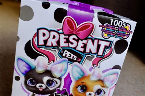 Present Pets Puppy - Interactive Push Pup That Unboxes Itself - REVIEW