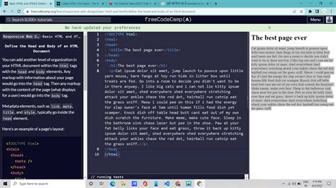 How To Define The Head And Body In Html Html Css The Freecodecamp Forum